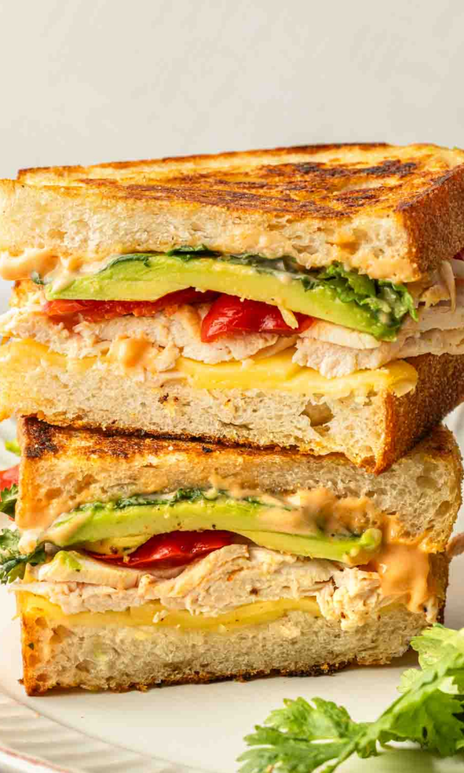 Chipotle Chicken Avocado Melt Recipe - Simple Mom Recipes